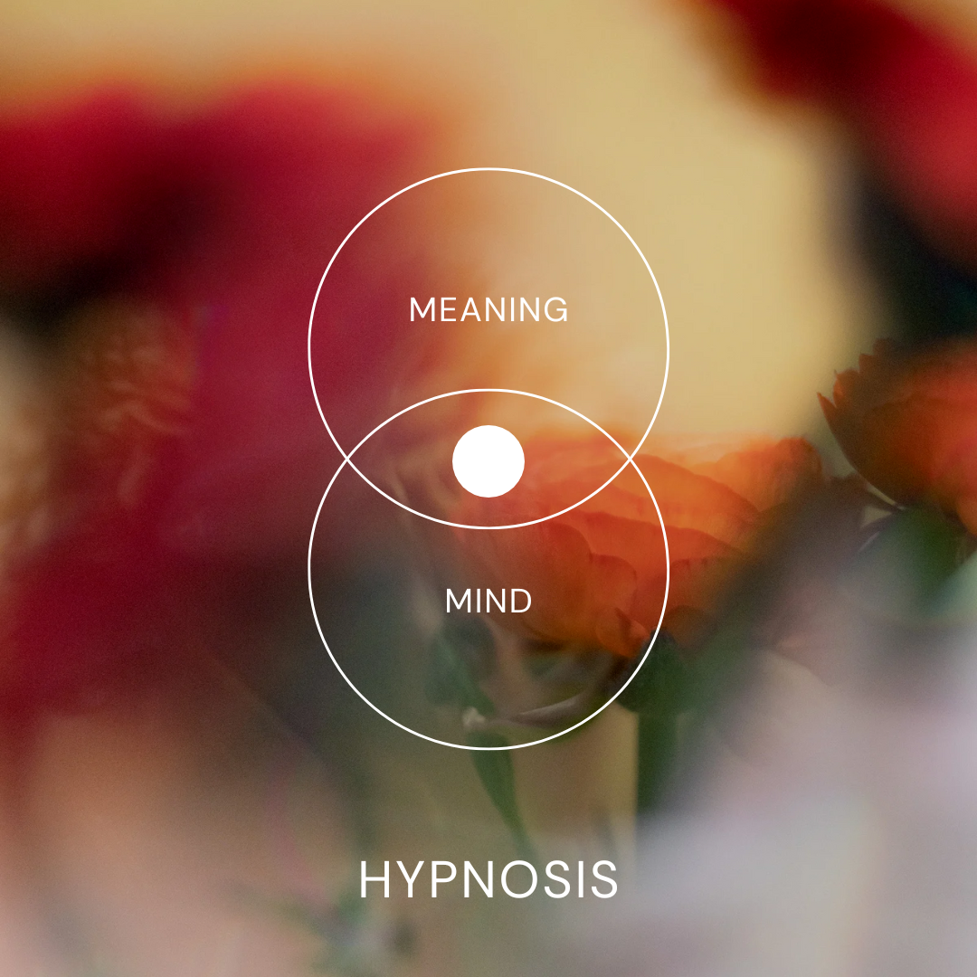 Meaning and Mind » Dr. Francisco Javier del Castillo